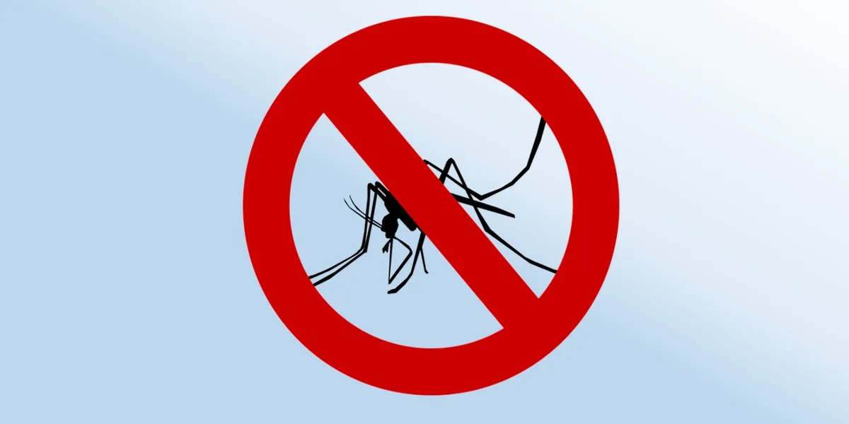 Dengue: veja quais os sintomas da doença e como evitar | Novidades e ...